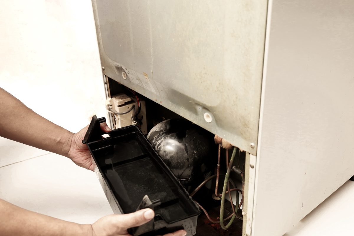 Why Is There Water in My Fridge? Common Causes and Fixes - Blog | The ...